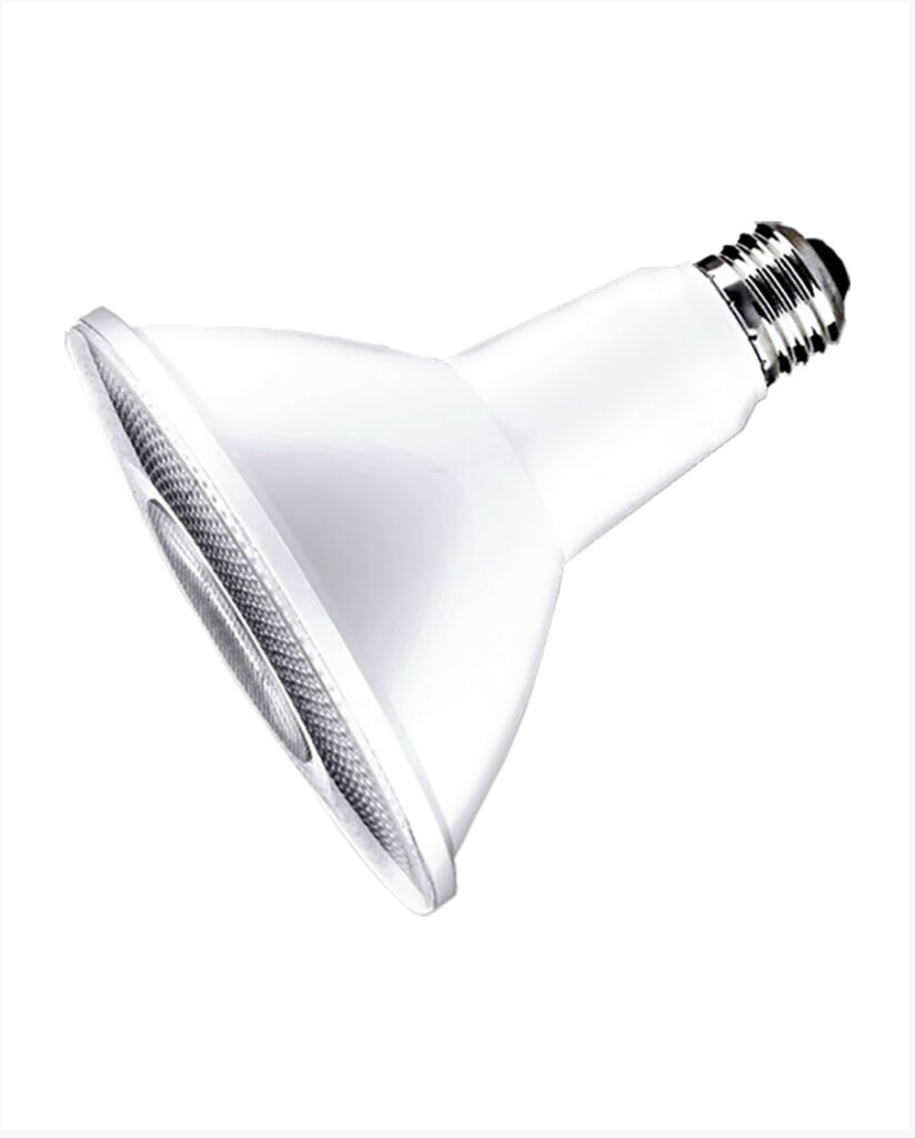 P #LB120PAR38-D/ 15W Dimmable LED PAR38 Lamp – Cyber Tech Lighting